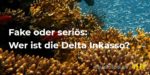 Fake oder seriös: Wer ist die Delta Inkasso? - Verbraucherdienst